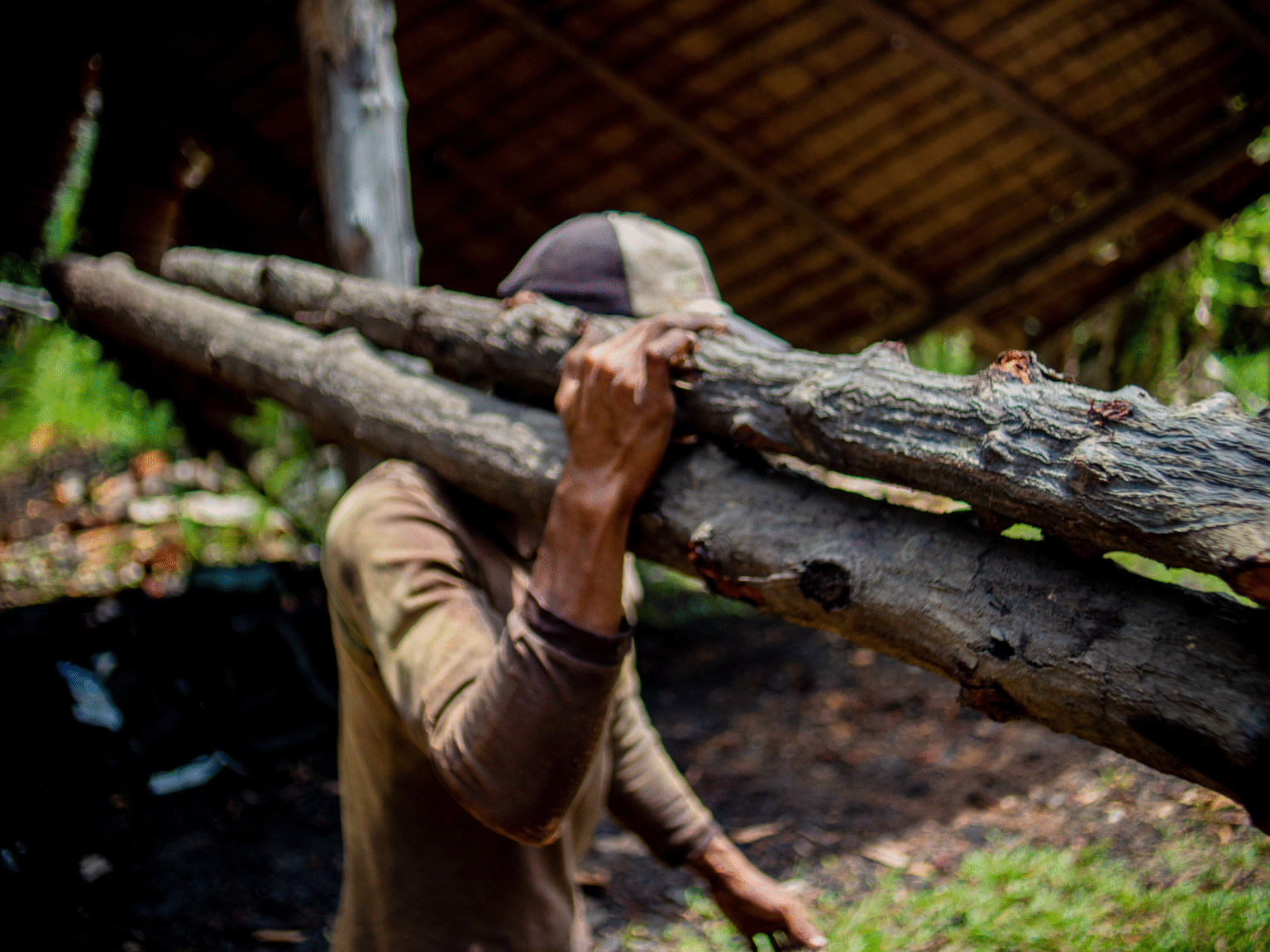 Beyond Carbon: How Mangrove Restoration in Batu Ampar Supports ...