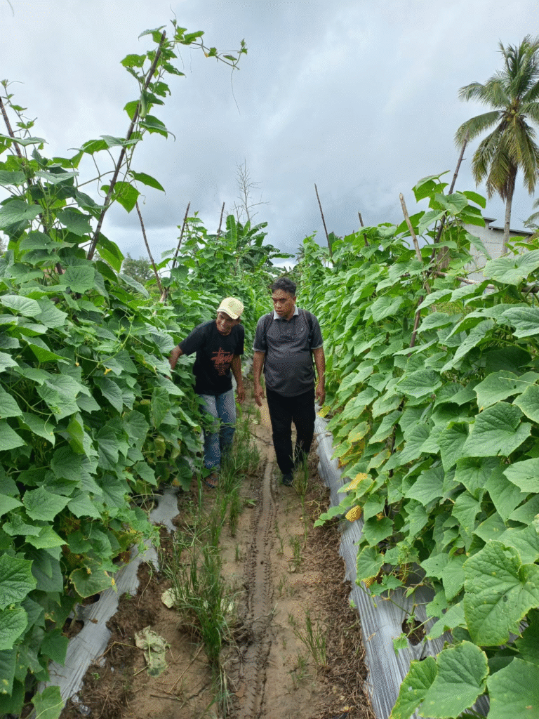 Leveraging Community Collaboration and Land Optimization for Food ...