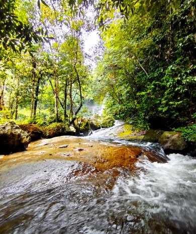 Nusantara Climate - Nusantara Climate Initiative