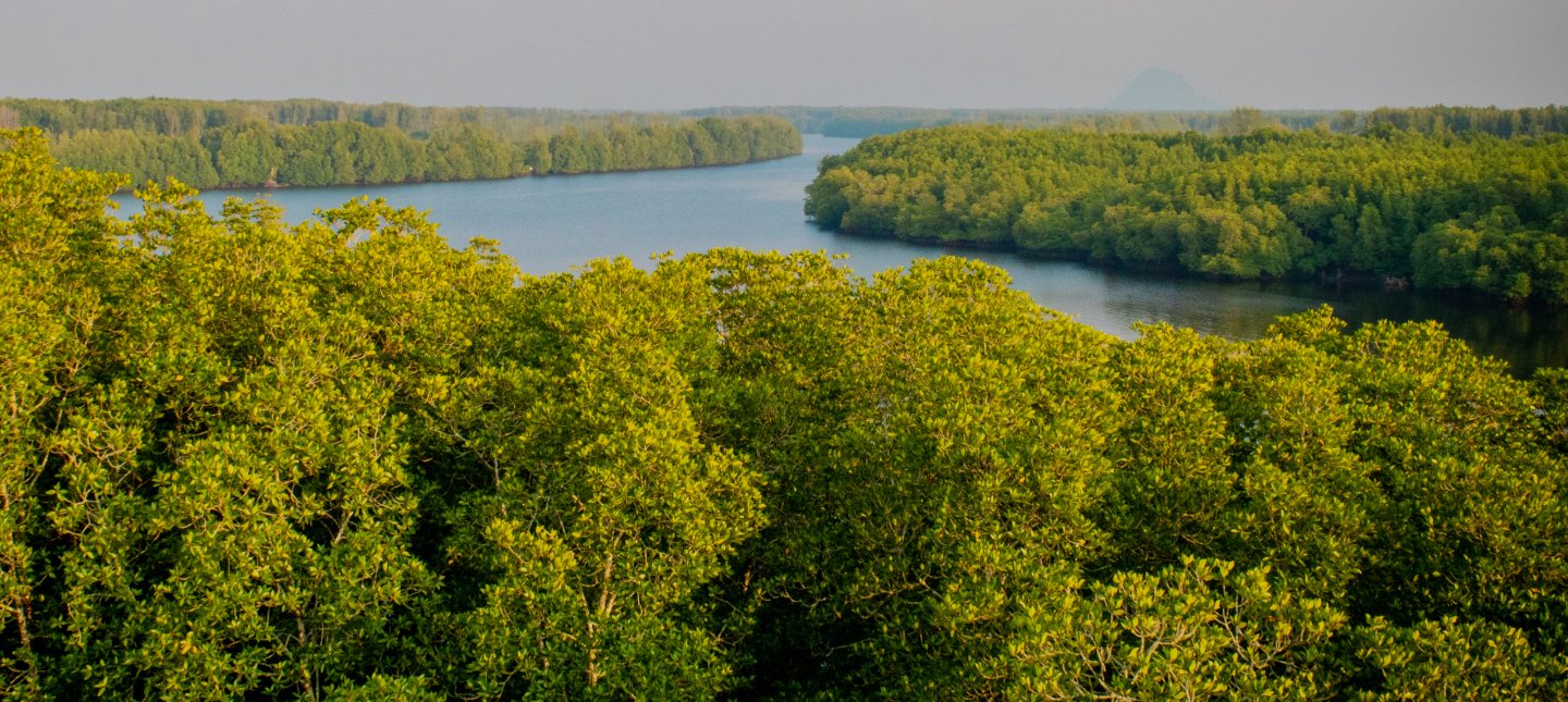 Nusantara Climate - Nusantara Climate Initiative